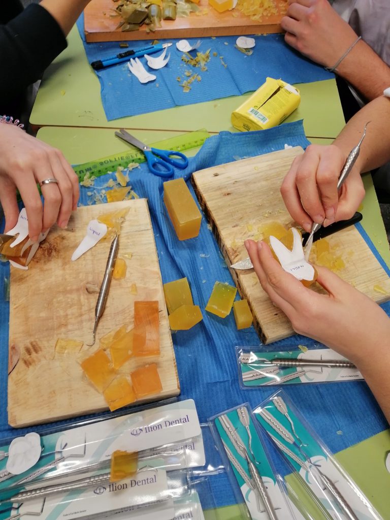 CFGS d’Higiene bucodental: peces dentàries amb sabó – IES Mossèn Alcover